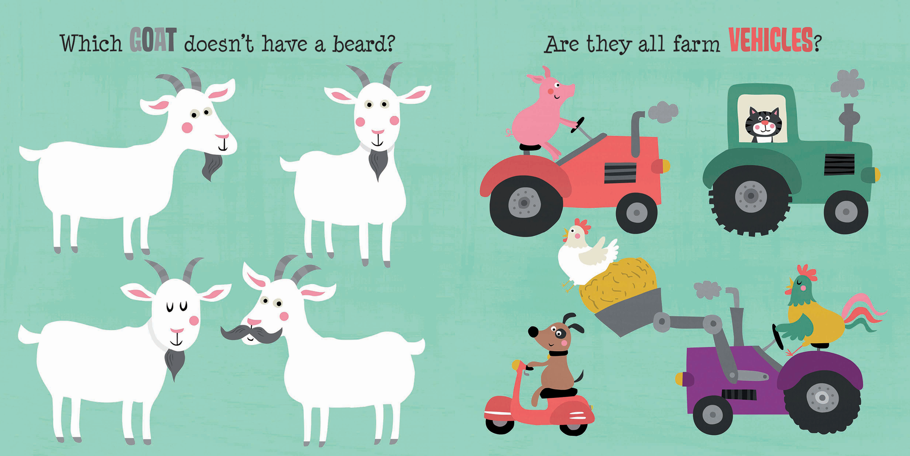 Colorful World: Farm – Marana Pumpkin Patch